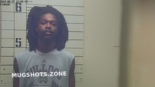 CALVIN J WILLIAMS 08/29/2024 - Clay County Mugshots Zone
