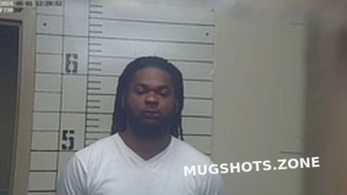 JAMICHAEL LASHAWN HOGAN 10/01/2025 - Clay County Mugshots Zone