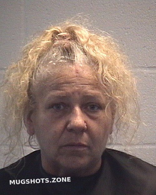 MEJIA LISA ANN 06/12/2023 - Cleveland County Mugshots Zone