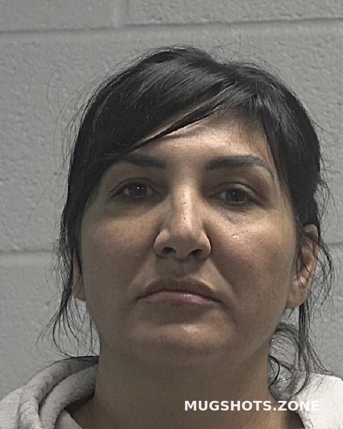 HARVELL AMANDA CHRISTINE 02/02/2025 - Cleveland County Mugshots Zone