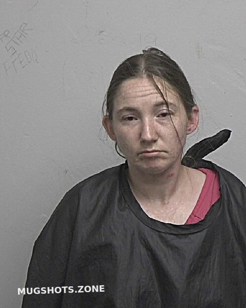 HAMRICK ASHLEY NICOLE 03/27/2025 - Cleveland County Mugshots Zone