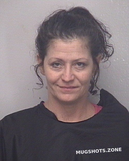 HAYNES LESA RENAE 08/29/2025 - Cleveland County Mugshots Zone