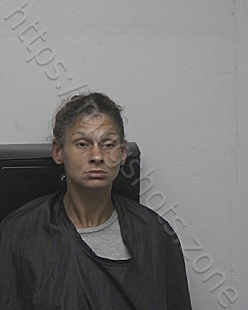 ROSEBORO JENNIFER LYNELL 04/17/2026 - Cleveland County Mugshots Zone