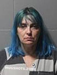 ROSE JENNIFER MAE 11/13/2022 - Clinton County Mugshots Zone