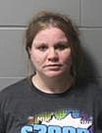 STODDARD KAYLA RENEE 11/23/2022 - Clinton County Mugshots Zone