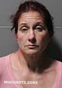 MOLUMBY ROBYN DAWN 02/10/2024 - Clinton County Mugshots Zone