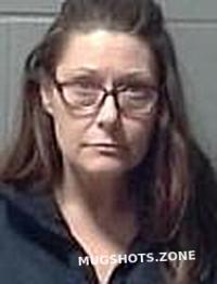 MCCOLLEY MICHELLE L 11/25/2024 - Clinton County Mugshots Zone