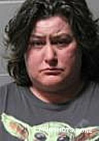 RICE HEATHER LEIGH 04/17/2025 - Clinton County Mugshots Zone