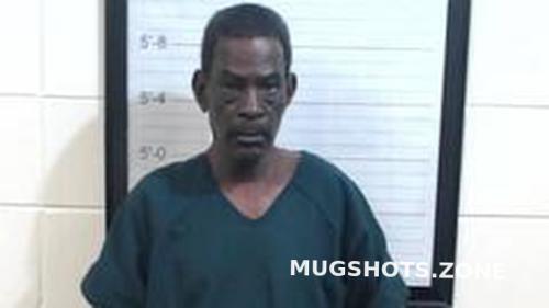 SHELLY CUNNINGHAM 11/19/2022 - Coffee County Mugshots Zone