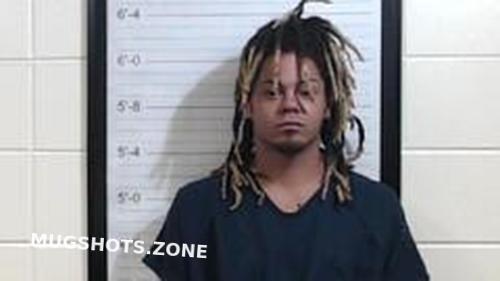 TYLER HINES 06/13/2023 - Coffee County Mugshots Zone