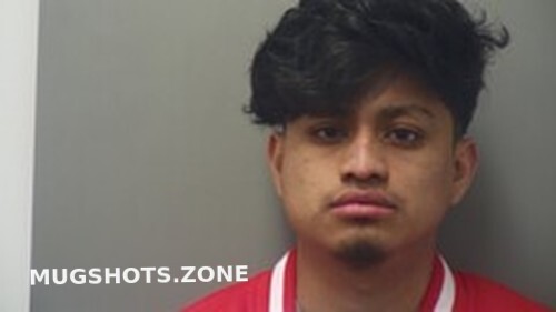 MOYSES LEON 02/17/2024 - Colbert County Mugshots Zone