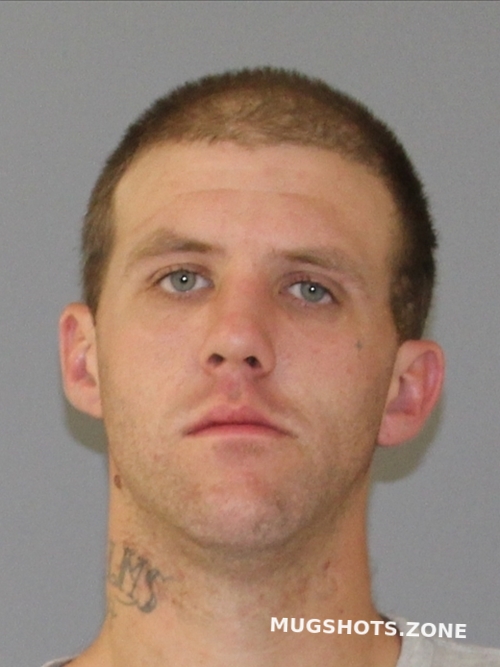 SHUBIN DYLAN MICHAEL 05/20/2024 - Coleman County Mugshots Zone