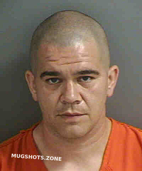 JOHNSON JASON JOHN 03/20/2021 - Collier County Mugshots Zone
