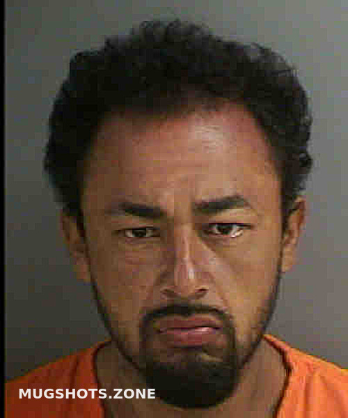 LAGUNAS JOHNNY JOE 03/29/2021 - Collier County Mugshots Zone