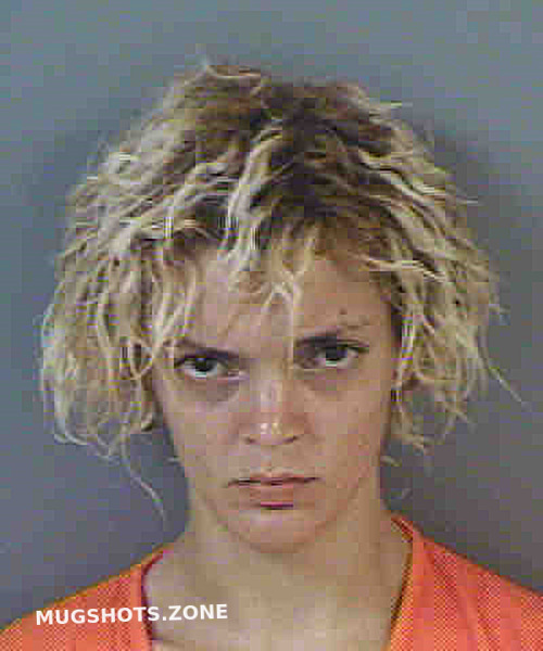 DAMASO CHRISTINA 04/22/2021 - Collier County Mugshots Zone