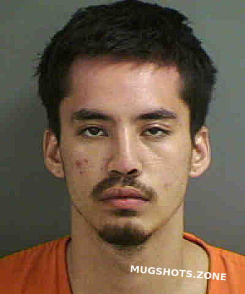 HICKS ANTHONY MICHAEL 05/15/2021 - Collier County Mugshots Zone