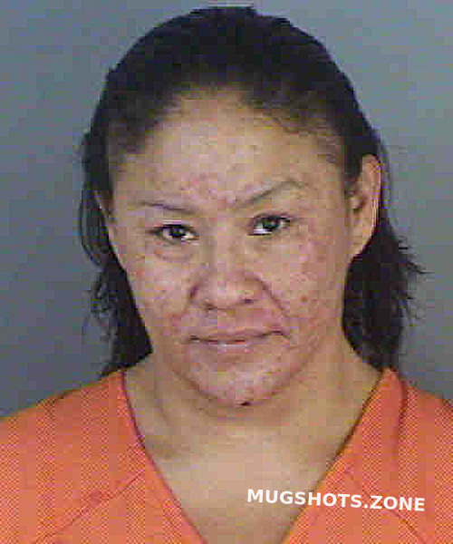 GUTIERREZ RACHEL 06/13/2021 - Collier County Mugshots Zone