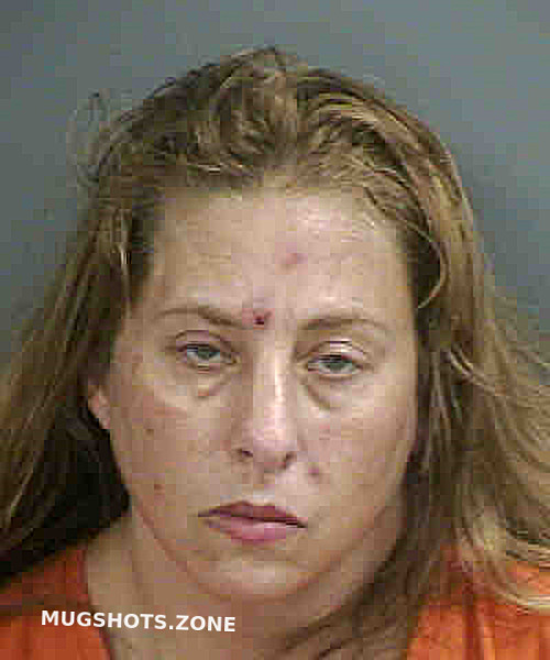 WILSON MICHELLE 07/02/2021 - Collier County Mugshots Zone