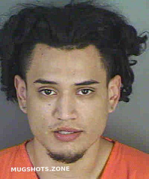 ADAME ANTHONY ELIAZAR 08/03/2021 - Collier County Mugshots Zone