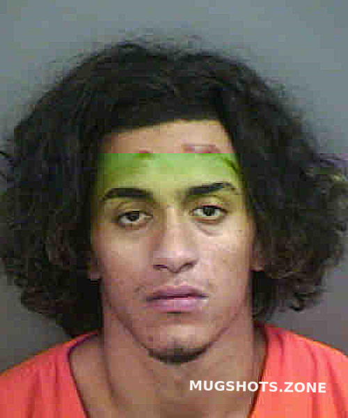 FOURNIER MATTHEW 11/09/2021 - Collier County Mugshots Zone