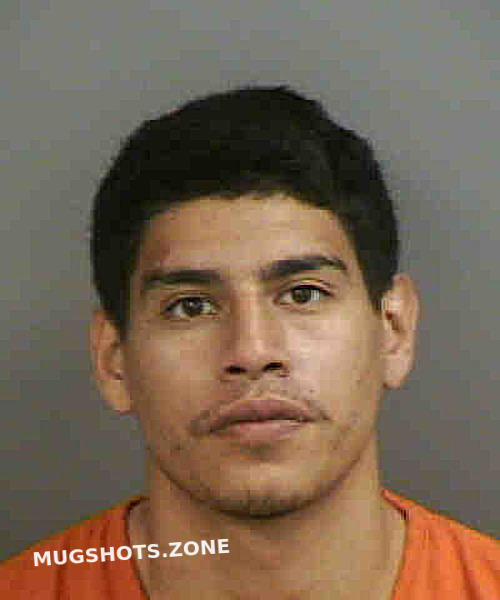 CASTILLO LUIS 01/01/2022 - Collier County Mugshots Zone