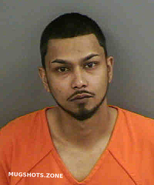 PRASAD CHRISTOPHER BRANDON 02/08/2022 - Collier County Mugshots Zone
