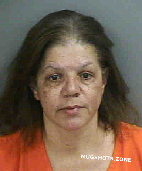 FOLEY LISA KAY 04/14/2022 - Collier County Mugshots Zone