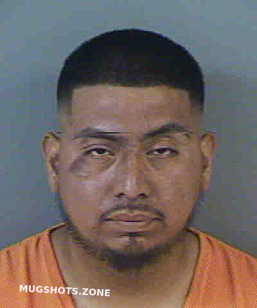 Mateo Enrique 07 12 2022 Collier County Mugshots Zone