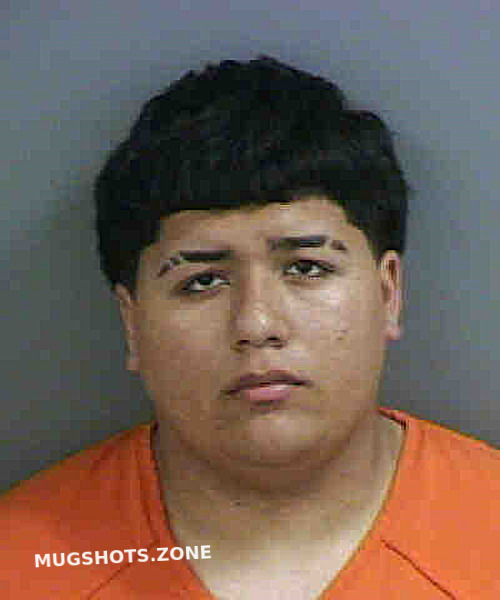 ALANIS DARREN ANTHONY 07/12/2022 - Collier County Mugshots Zone
