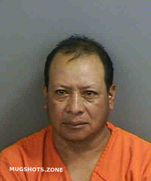 GARCIATAX LUCAS ISAIAS 09/06/2022 - Collier County Mugshots Zone