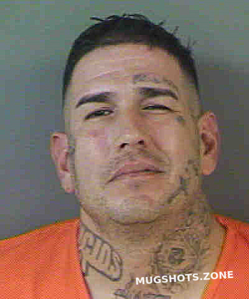 SALINAS MARC 10/03/2022 - Collier County Mugshots Zone