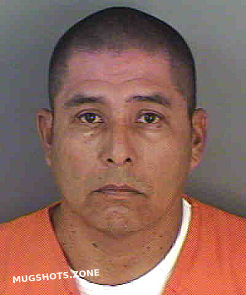 BILLIE JASON LEE 10/20/2022 - Collier County Mugshots Zone