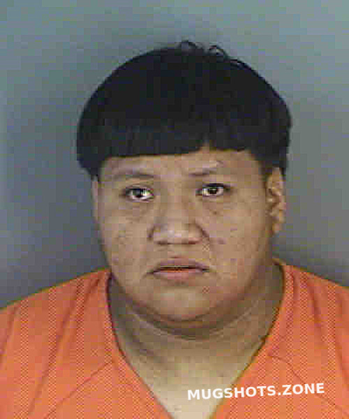 DOMINGO MIGUEL 10/23/2022 - Collier County Mugshots Zone