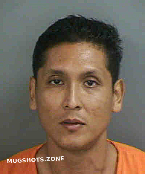 SANTILLAN MICHAEL E 11/05/2022 - Collier County Mugshots Zone