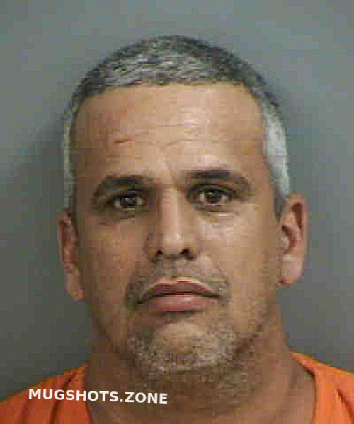Pistone Jonathan Alexander 11 11 2022 Collier County Mugshots Zone