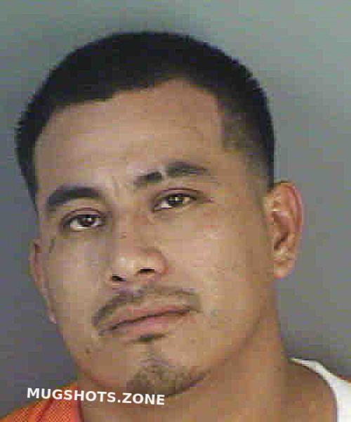 RAMIREZ ROBERTO 11/13/2022 - Collier County Mugshots Zone