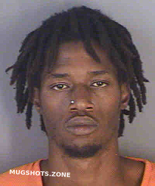 JEANLOUIS LEONARDO HILL 11/15/2022 - Collier County Mugshots Zone