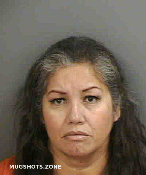 USUGACANEDO LILLIANA MONICA 11/18/2022 - Collier County Mugshots Zone