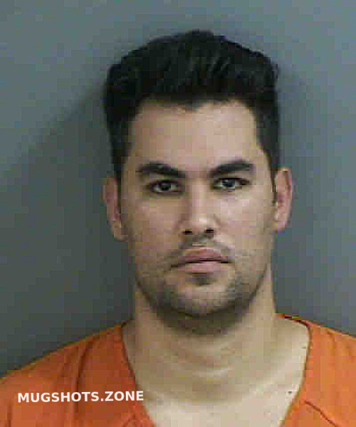 COLLADA DAVID ALBERTO 11/22/2022 - Collier County Mugshots Zone