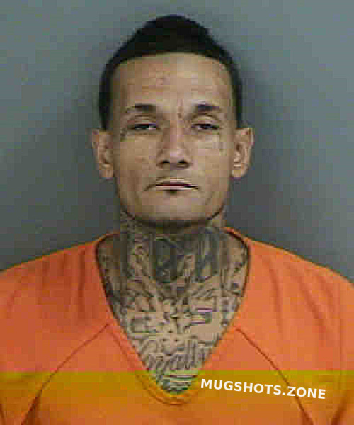 SOMMERS CHRISTOPHER 11/23/2022 - Collier County Mugshots Zone SOMMERS CHRISTOPHER 11/23/2022 - Collier County Mugshots Zone