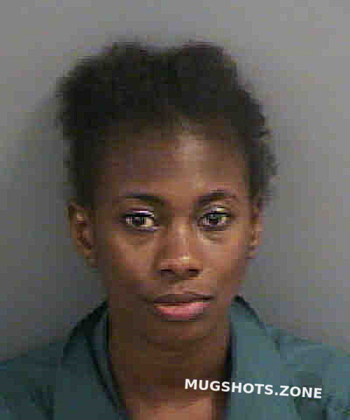 WARD ERICA N 11/24/2022 - Collier County Mugshots Zone