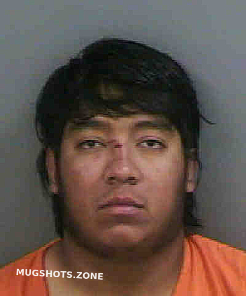 MEJIAPAREDES AZAEL ISAAC 11/24/2022 - Collier County Mugshots Zone
