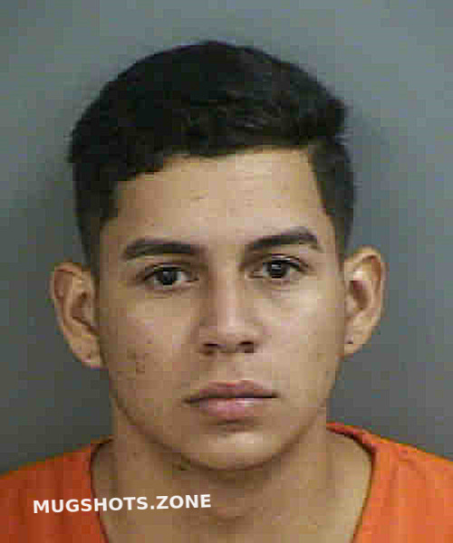 MARTINEZALVARADO ANDRI 11/28/2022 - Collier County Mugshots Zone