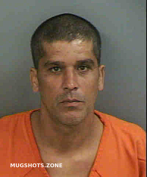 Vegamaldonado Samuel 12 01 2022 Collier County Mugshots Zone