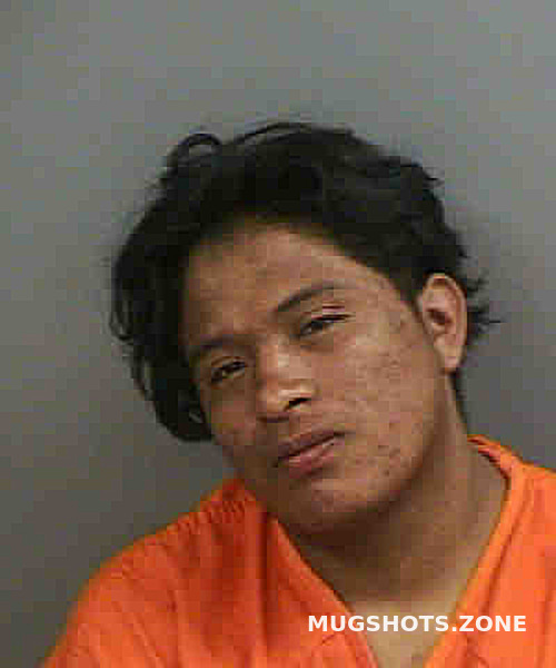HERNANDEZ DENEL 12/12/2022 - Collier County Mugshots Zone
