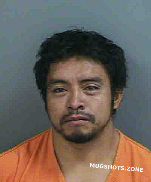 LOPEZ MENOR 12/12/2022 - Collier County Mugshots Zone