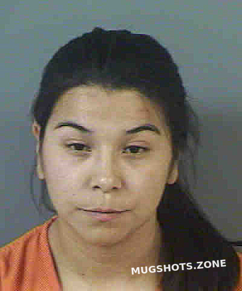 Flores Arlene 12 28 2022 Collier County Mugshots Zone