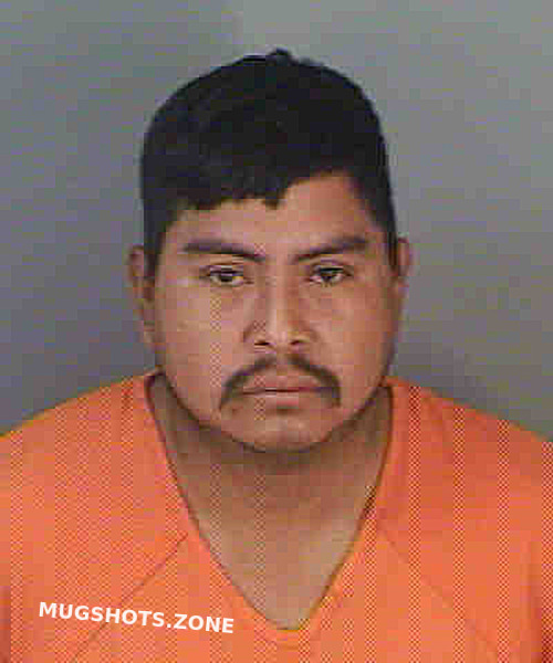 LOPEZHERNANDEZ FERNANDO 01/13/2023 - Collier County Mugshots Zone