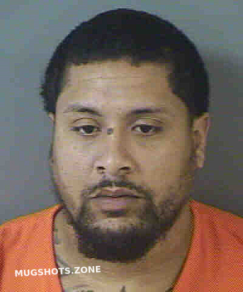 MEDINA MICHAEL GABRIEL 01/22/2023 - Collier County Mugshots Zone