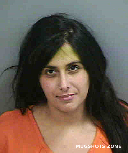 MARTINEZ LISANYELA 01/27/2023 - Collier County Mugshots Zone